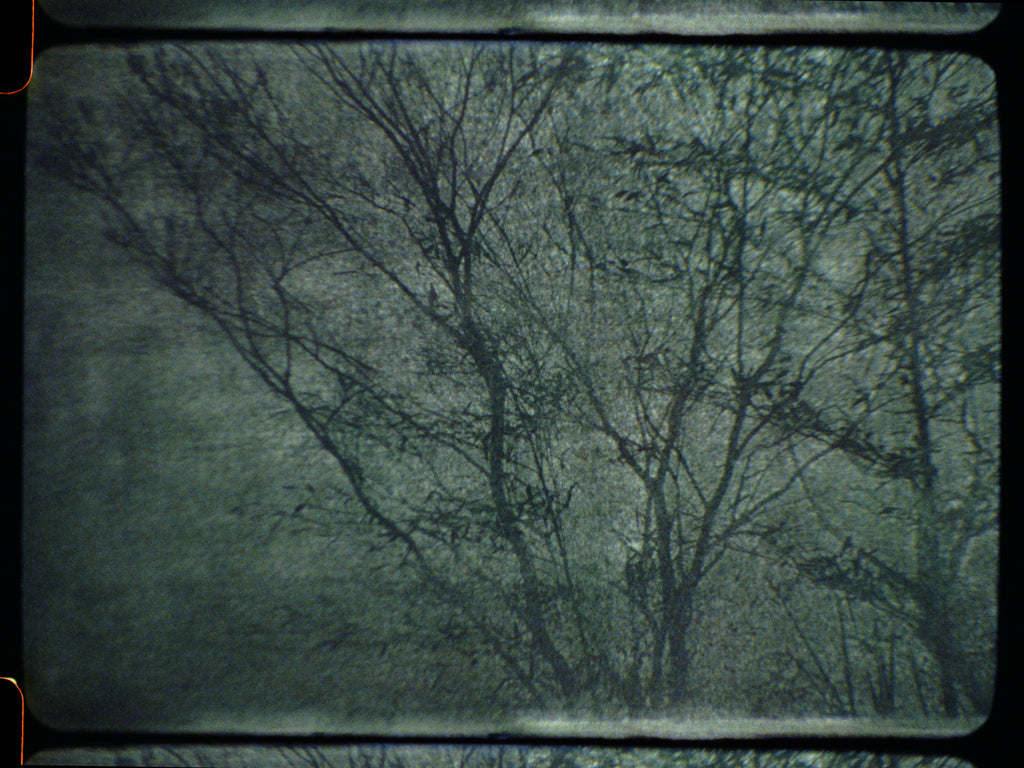 peter wu | official site | peter wu